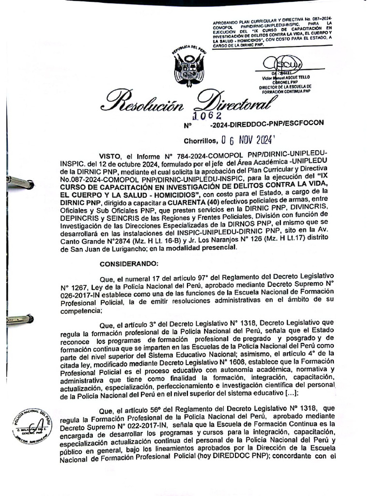 RD 1062-2024-Direddoc-Dirnic | PDF