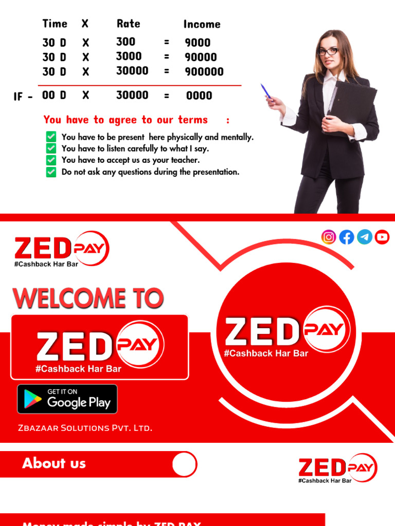 Zed Pay Digital Business Plan PDF | PDF