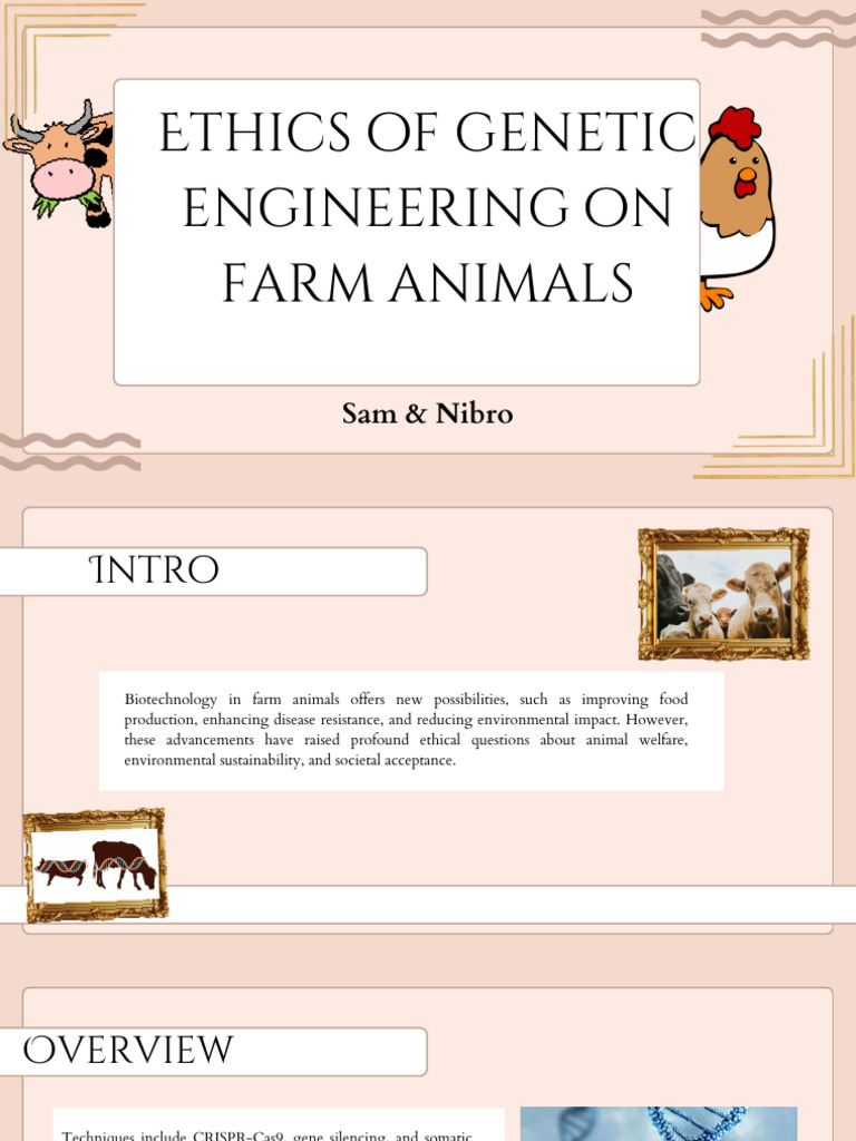 Ethical Issues in Genetic Engineering of Animals | PDF | Genetically ...