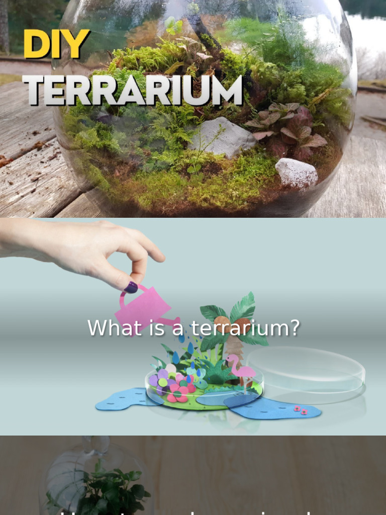 Making a Terrarium | PDF | Water | Water Cycle