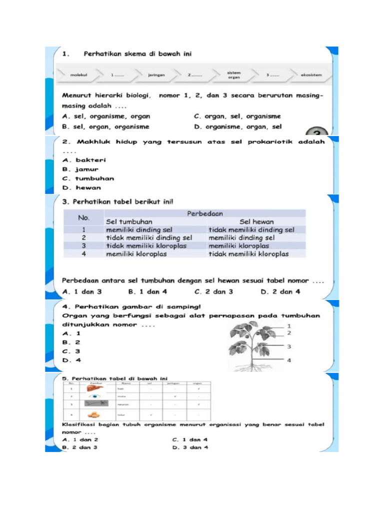 ipa pas kls 7 sm 2 | PDF