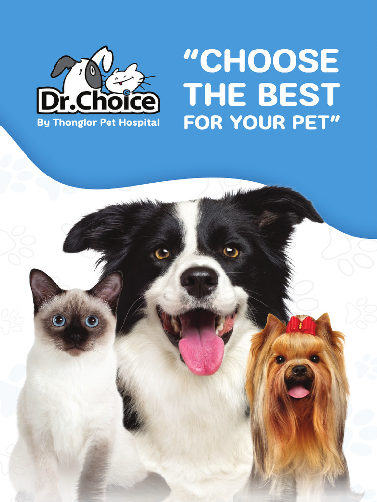 DR - Choice Catalog 2023 | PDF