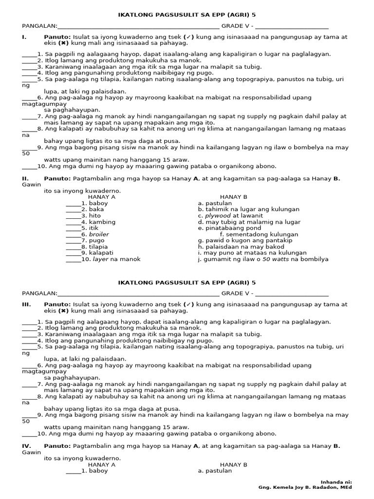 Ikatlong Pagsusulit Sa Epp 5 | PDF