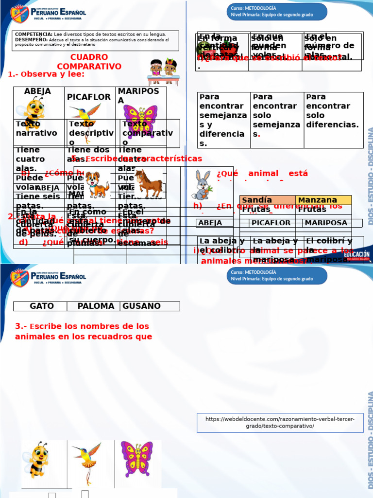 Semana 08 Metodología Ivb | PDF | Aves