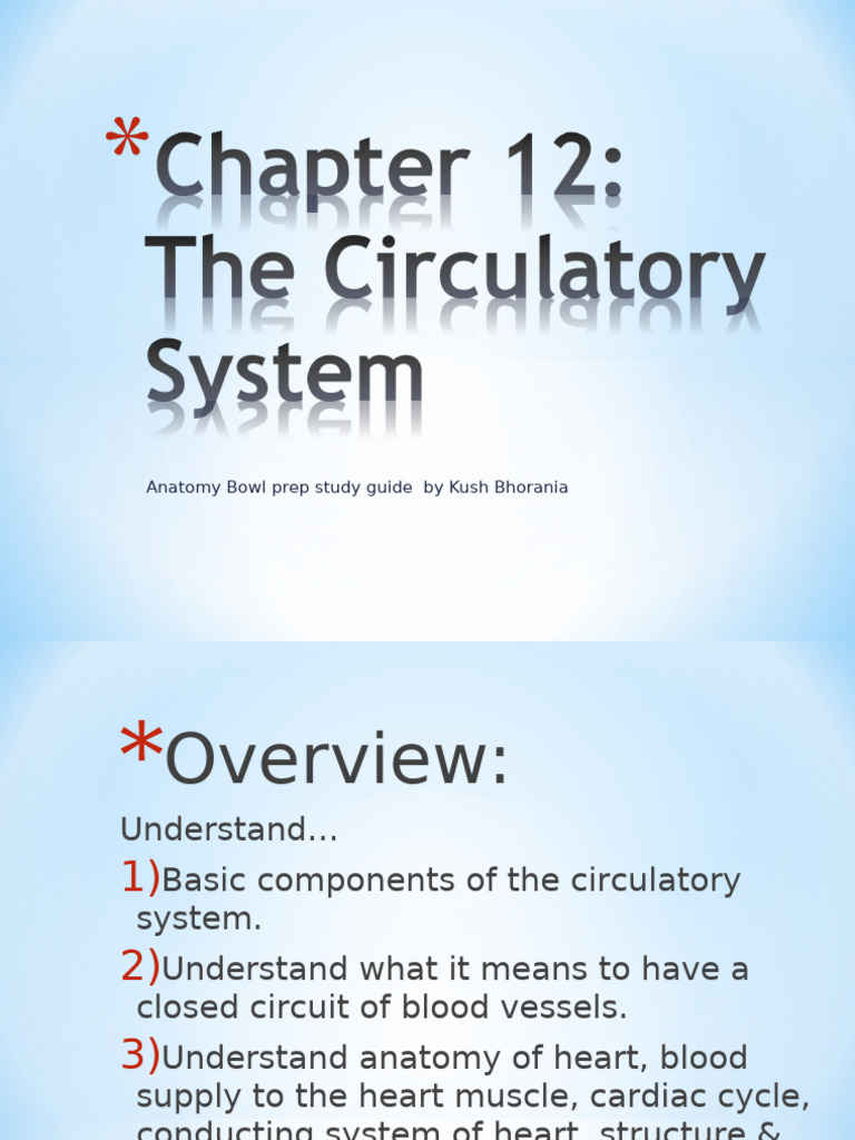Chapter 12 Circulatory System Study Guide | PDF | Heart Valve | Heart