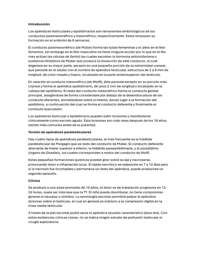 Apéndice Testicular | PDF | Testículo | Enfermedades y trastornos