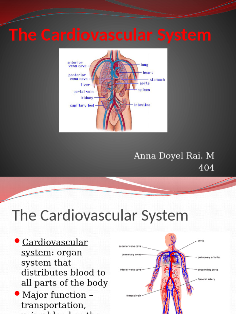 Ch 11 Cardiovascular System 160217162530 (1) | PDF | Heart | Heart Valve