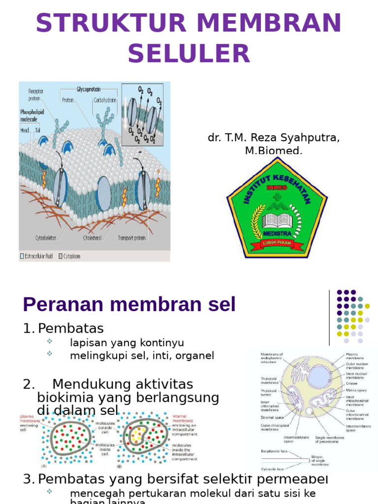 Struktur dan Fungsi Membran Sel | PDF