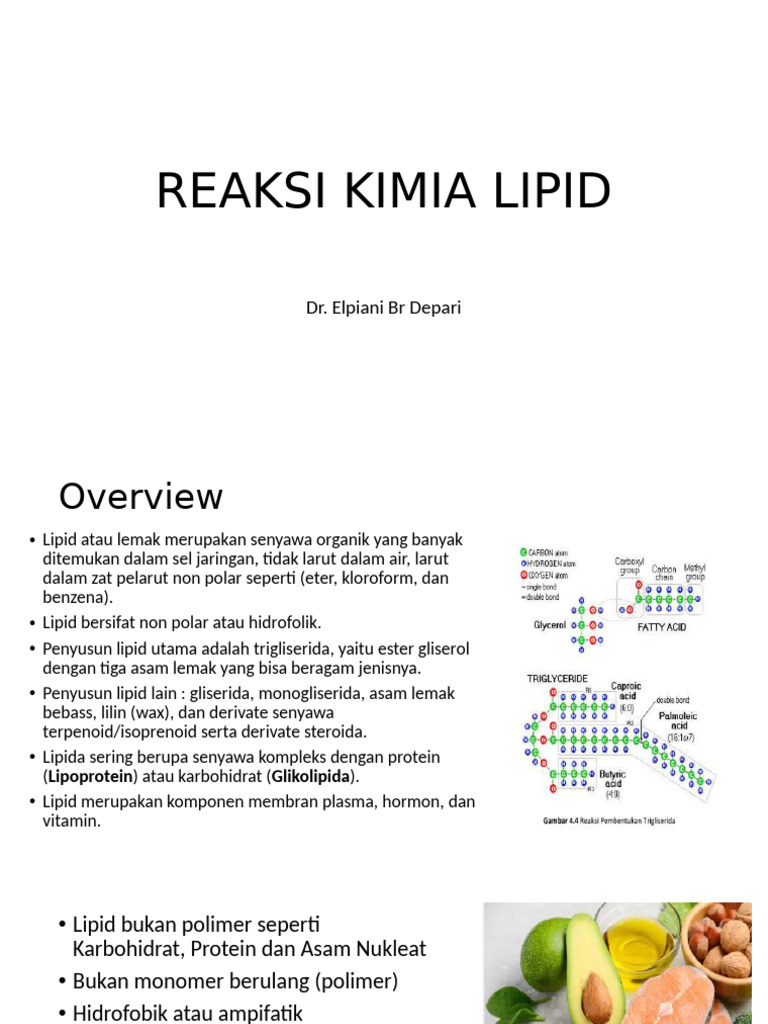 Reaksi Kimia Lipid | PDF