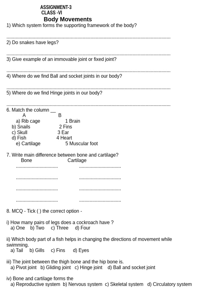 ASSIGNMENT VI Body Movements | PDF