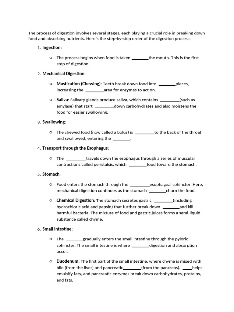 The Process of Digestion Guided Notes Student | PDF | Digestion | Stomach