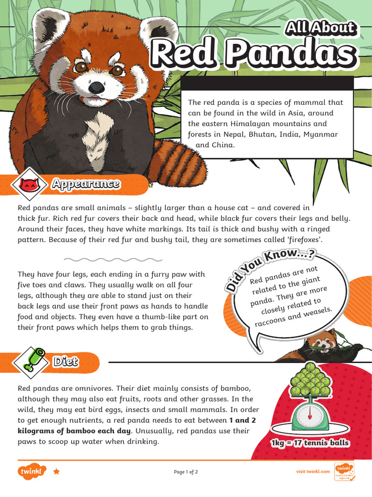 T TP 1686219013 Uks2 All About Red Pandas Differentiated Reading Comprehension Activity - Ver ...