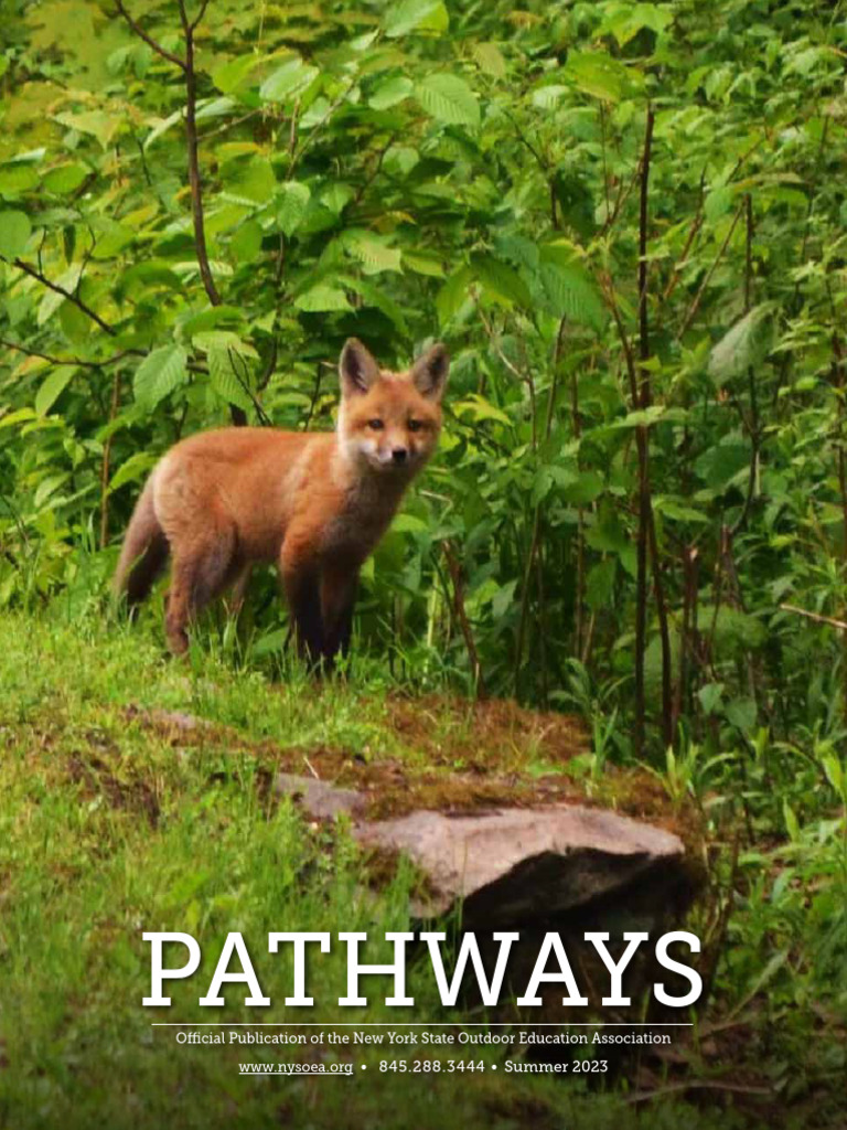 Pathways Summer 2023 | PDF