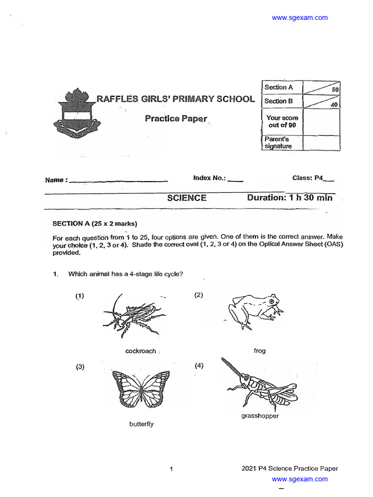 2023 P4 Science Practice Paper Raffles Review | PDF | Branches Of ...