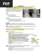 Cambios Modic Qué Son, Tipo y Diagnóstico InfoEspalda | PDF | Cirugía ...