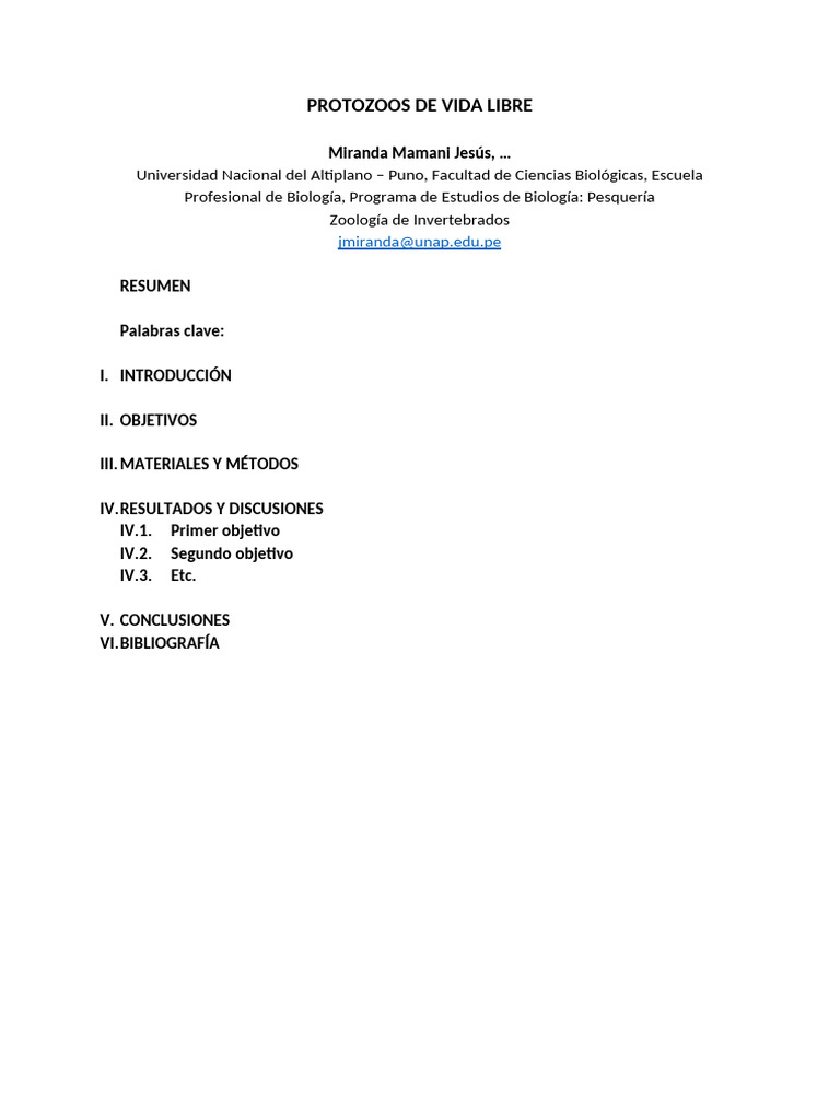 Formatode Informede Practicasdescargar | PDF