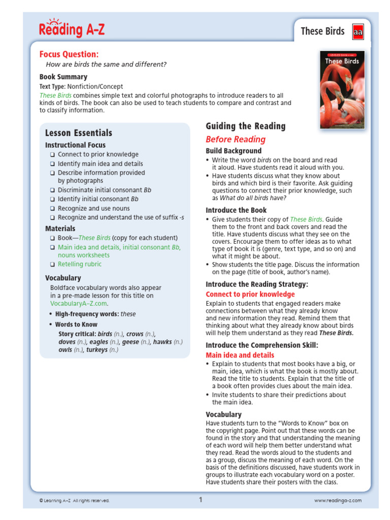 Raz Laa68 Thesebirds LBLP | PDF | Reading Comprehension | Books