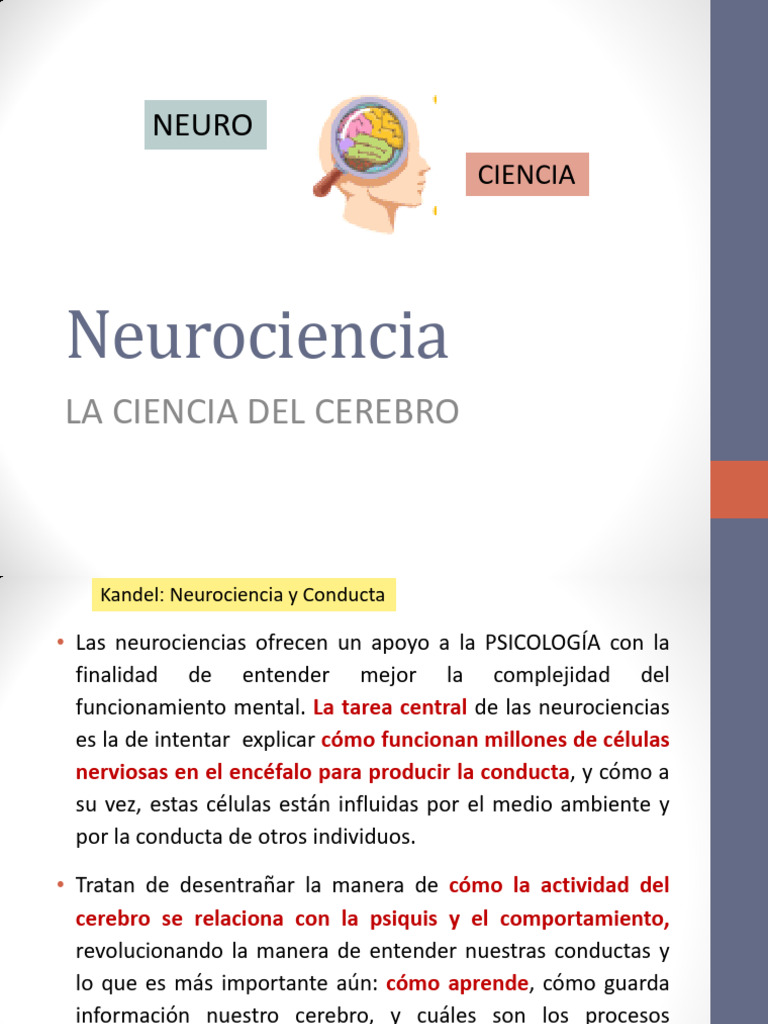 neurociencias | PDF | Neurociencia | Cerebro