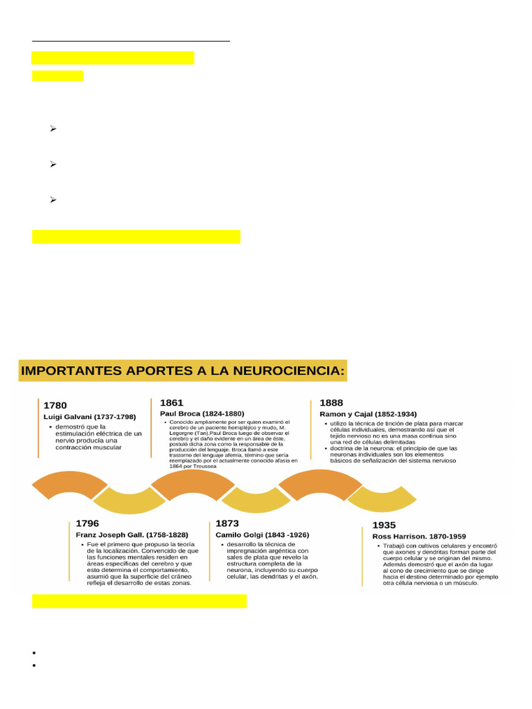 Resumen Final Neuro P1 | PDF | Neurona | Cerebro