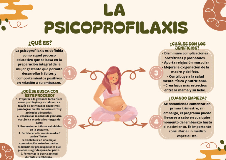 Organizador Grafico Conceptual La Psicoprofilaxis | PDF