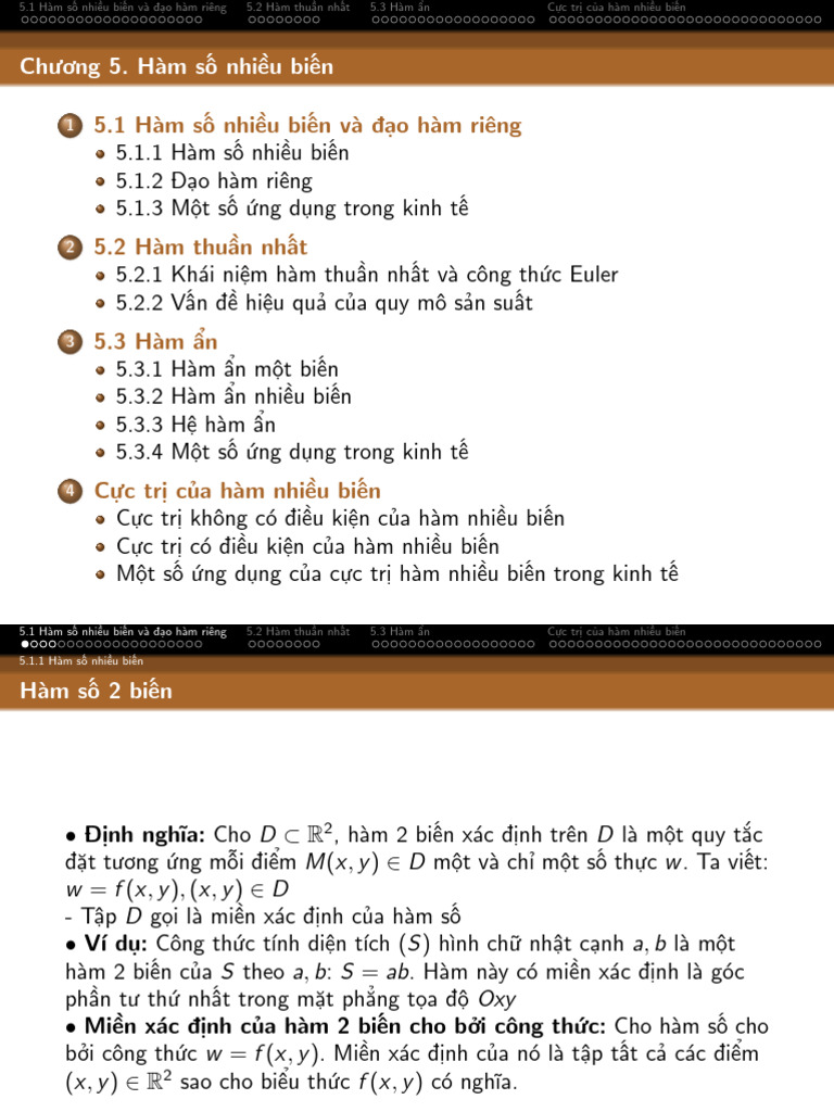 Slide - TCC Cho Kinh Te - Ch5-Hamsonhieubien | PDF