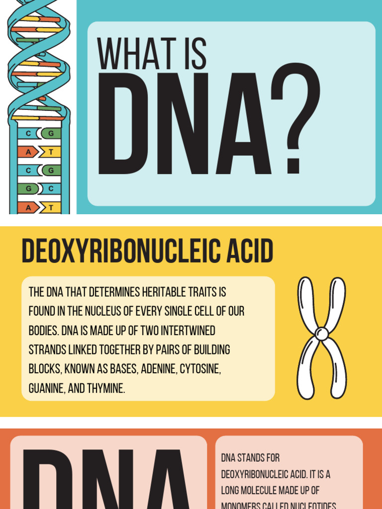 DNA | PDF | Dna | Dna Profiling