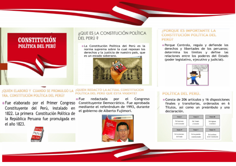 Diptico Constitucion | PDF