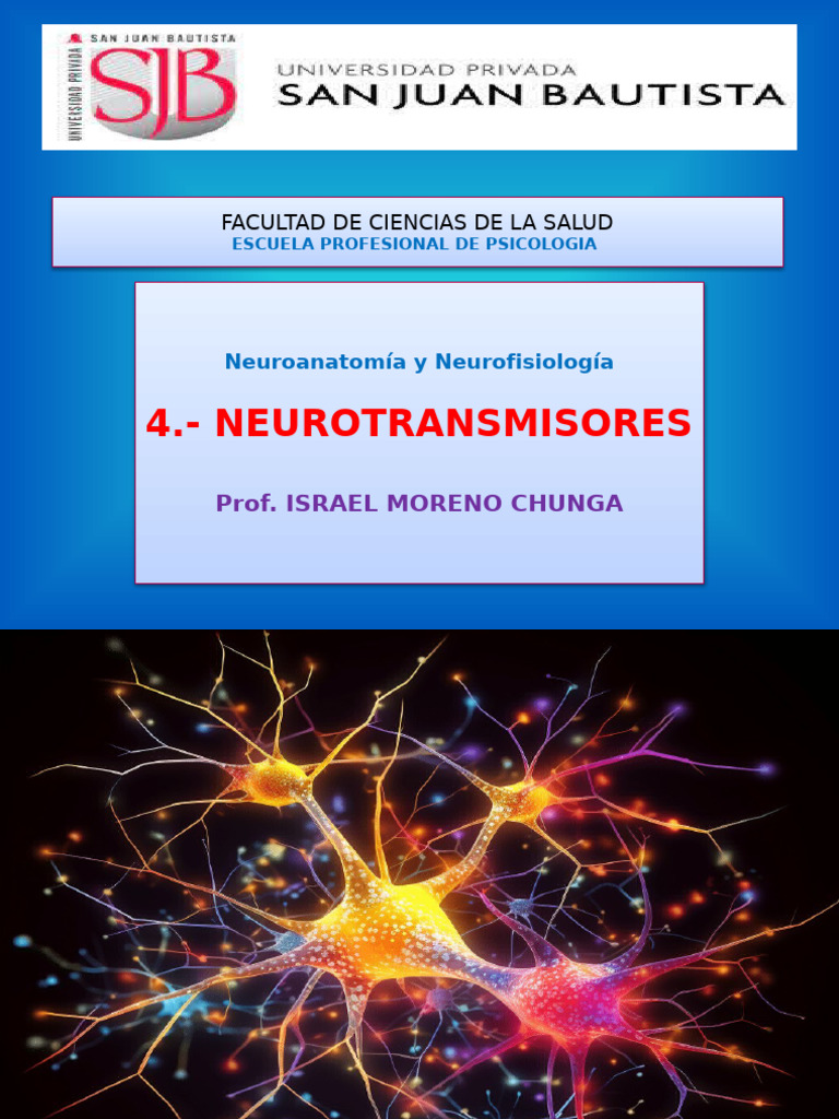 4 Neurotrans | PDF | Sinapsis | Norepinefrina