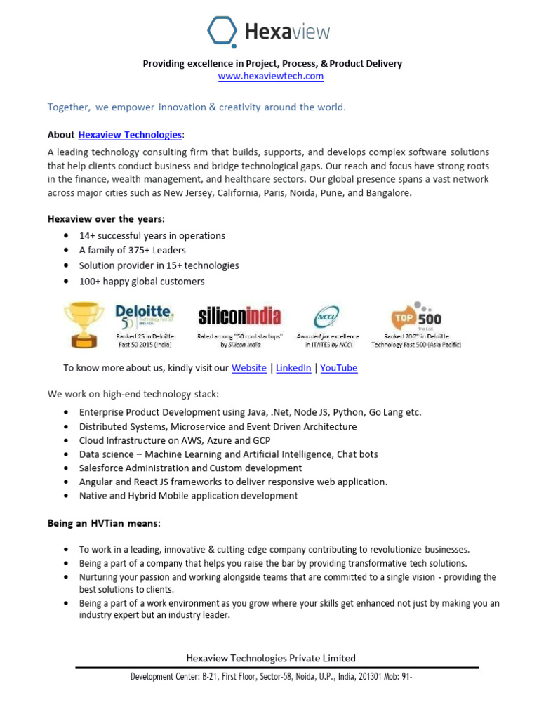 Hexaview Tech Careers: Join Our Team | PDF | Computer Programming ...
