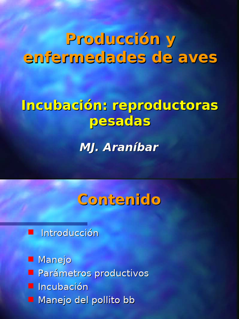 Sem 6 Reproductoras Pesadas e Incubación | PDF | Huevo