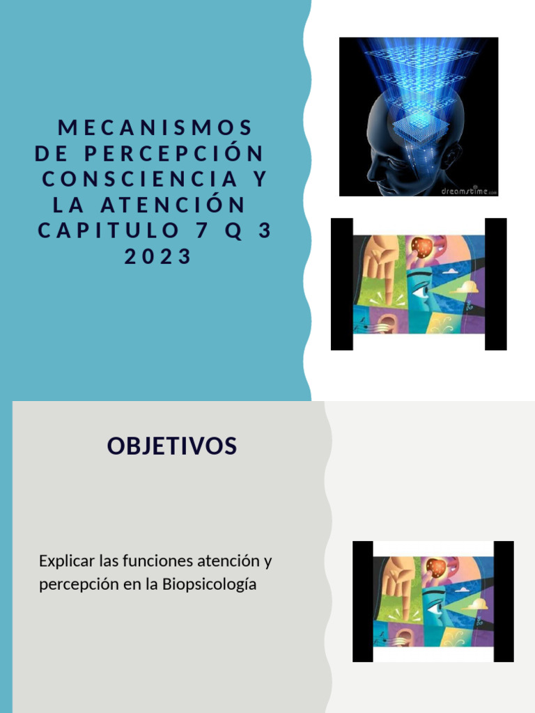 Ppt Clase Capitulo 7 Atencion Percepcion | PDF | Corteza visual | Lóbulo occipital