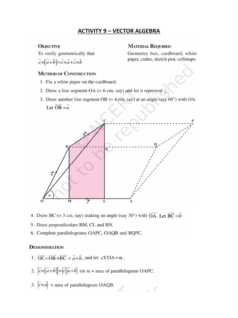 Activity 9 - Vector Algebra | PDF