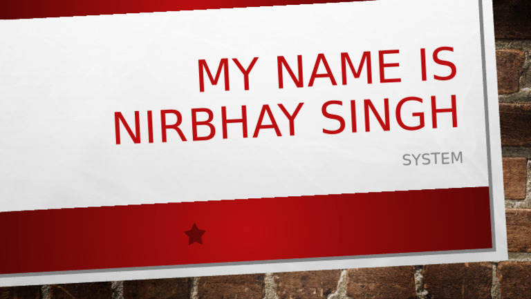 My Name Is Nirbhay Singh | PDF