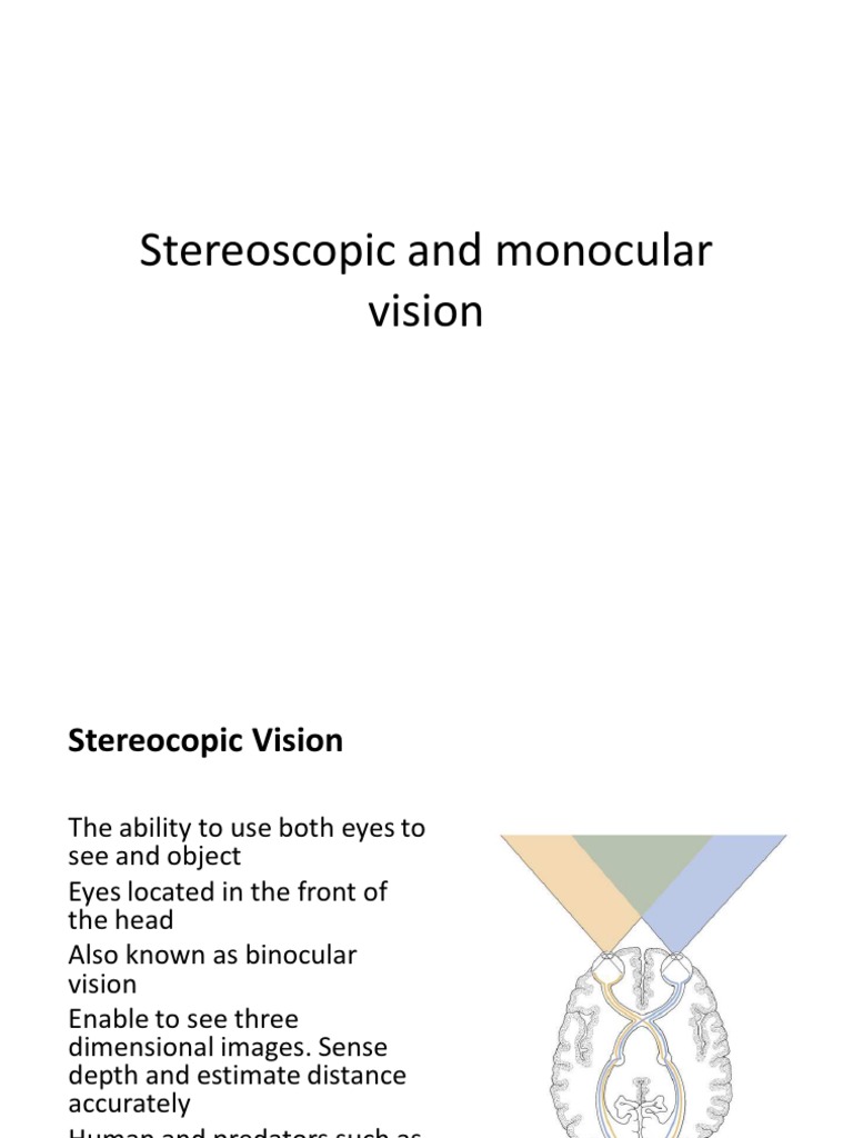 Stereoscopic and Monocular Vision | PDF