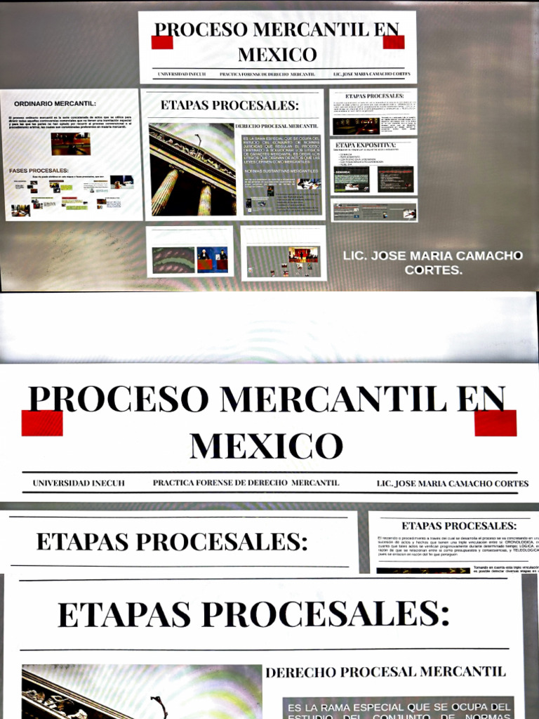 Etapas Procesales 1 Expo | PDF