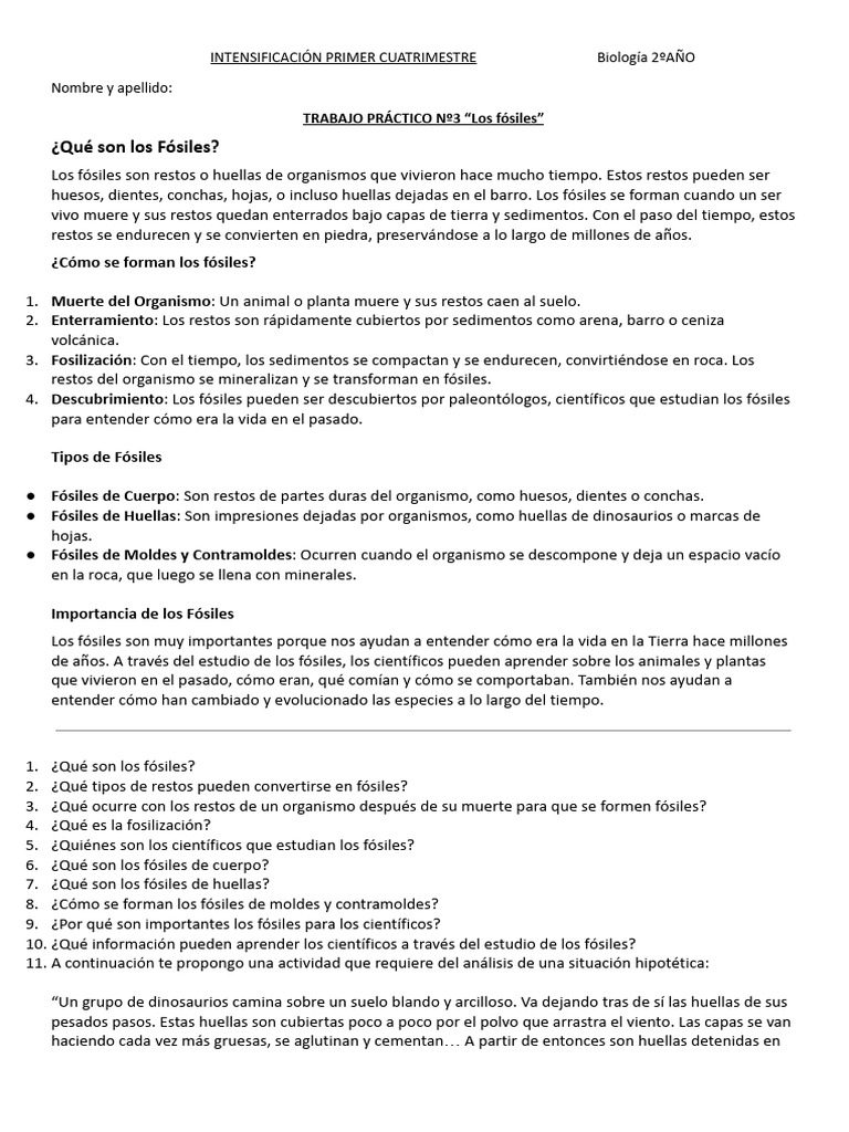 Trabajo Pr-Ctico n-3 | PDF | Fósil | Paleontología