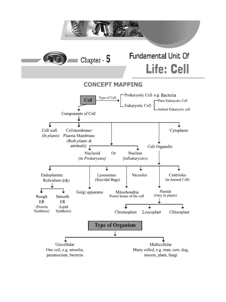 Mind Map - Cell | PDF