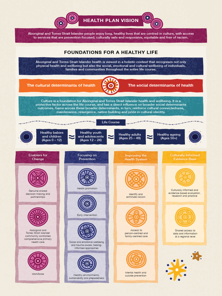 National Health Plan for Indigenous Wellbeing | PDF | Preventive ...
