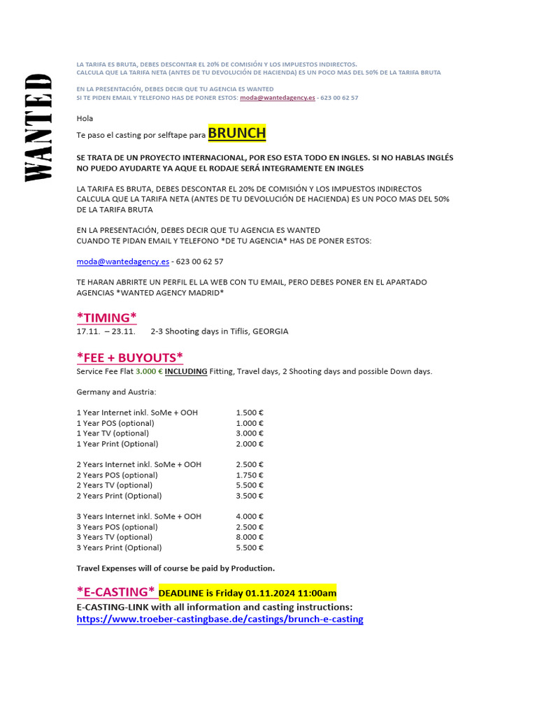 Brunch - Brief Wanted | PDF