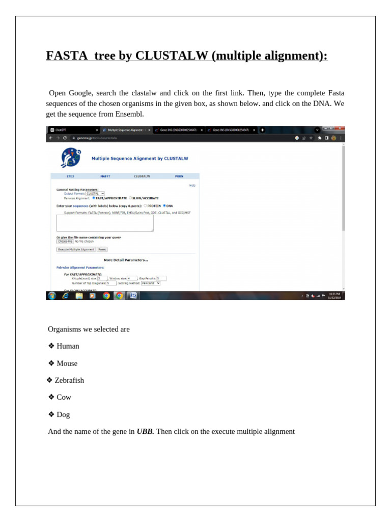 Boom Boom Afridi | PDF