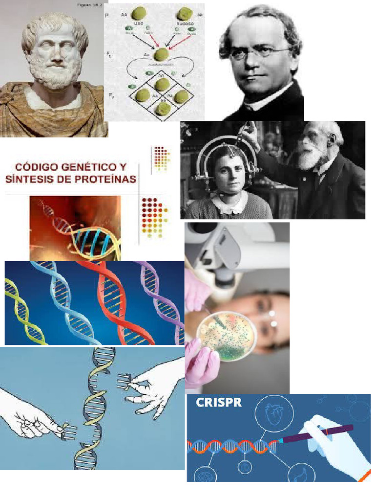 DSADA 21312432 | PDF