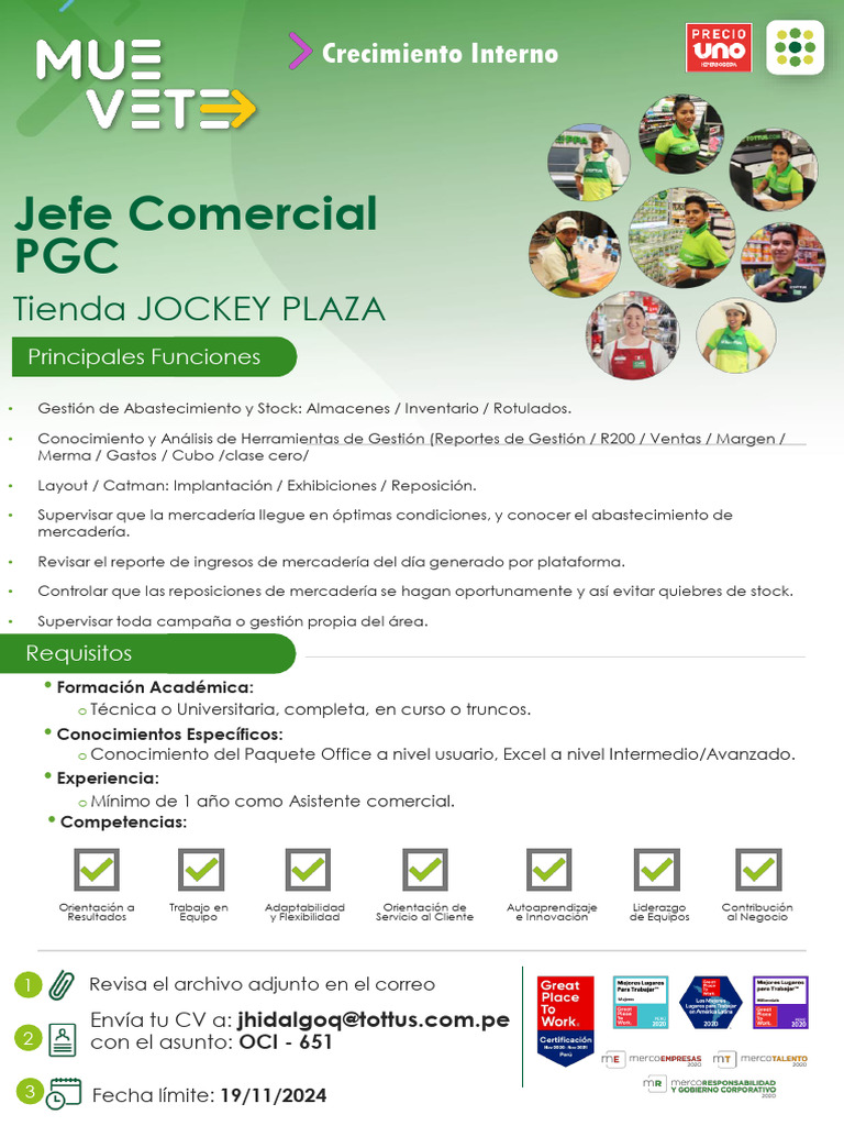 Oferta Laboral: Jefe Comercial | PDF