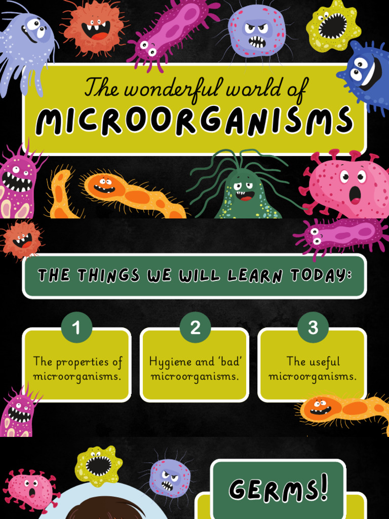 Microorganisms for Kids | PDF