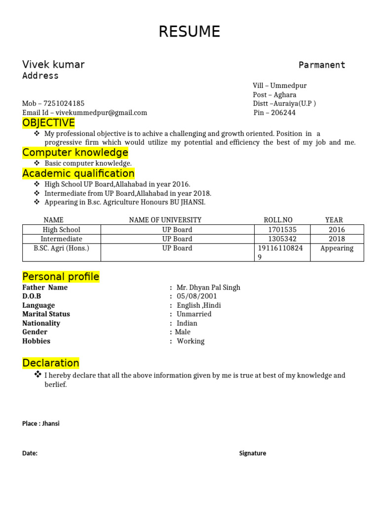 Resume: Vivek Kumar | PDF