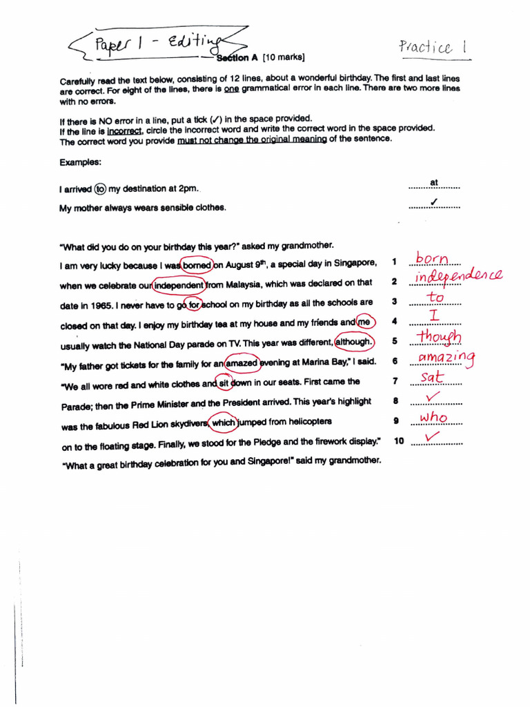 Grammatical Error Correction Exercises | PDF
