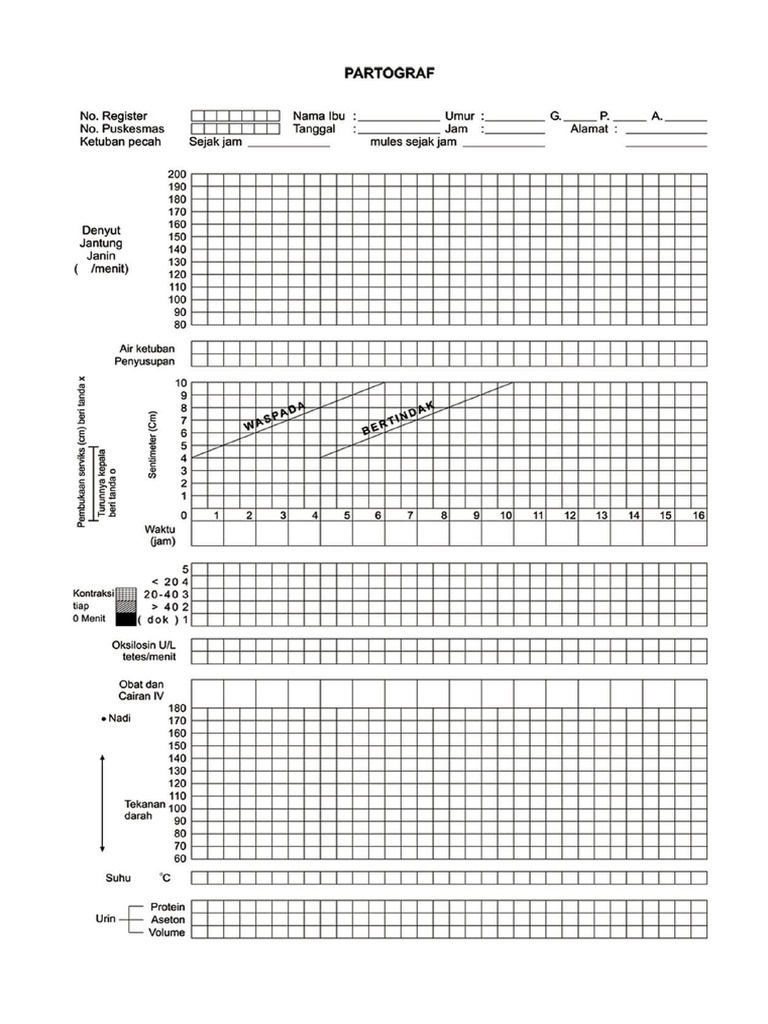 Partograf | PDF