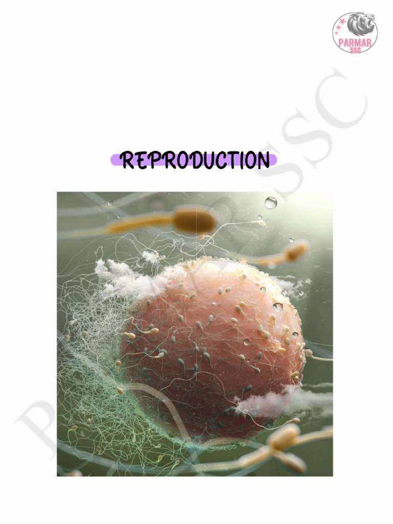 8th Lecture Reproduction | PDF