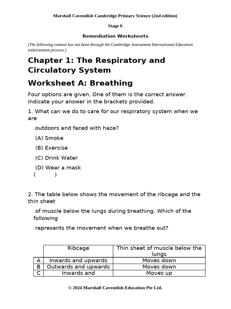 Grade 6 Science: Resp. & Circ. Worksheets | PDF | Respiratory System ...