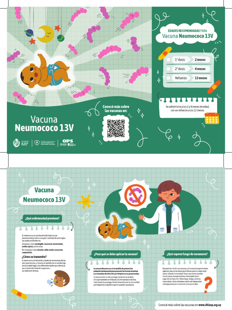 Folleto-Vacuna-Neumo-30x20cm (1) | PDF
