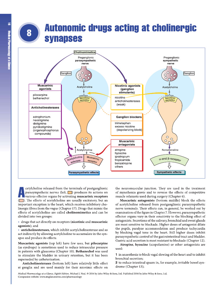 Autonomic Drug | PDF